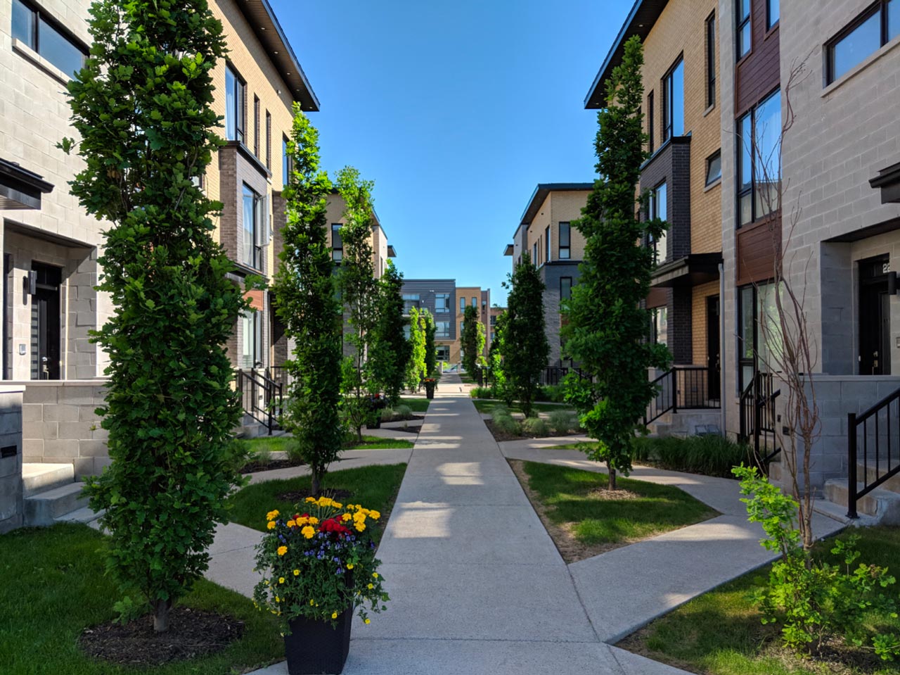 Projet Doré Jaune - Organisation Dupuis