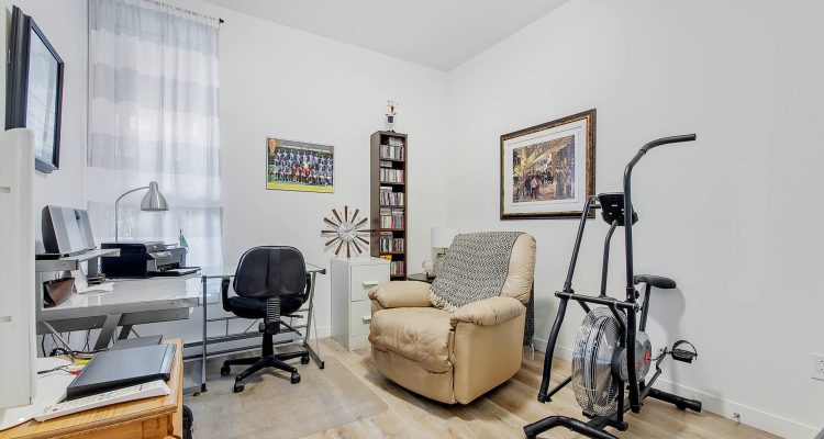 Projet Doré Jaune - Organisation Dupuis